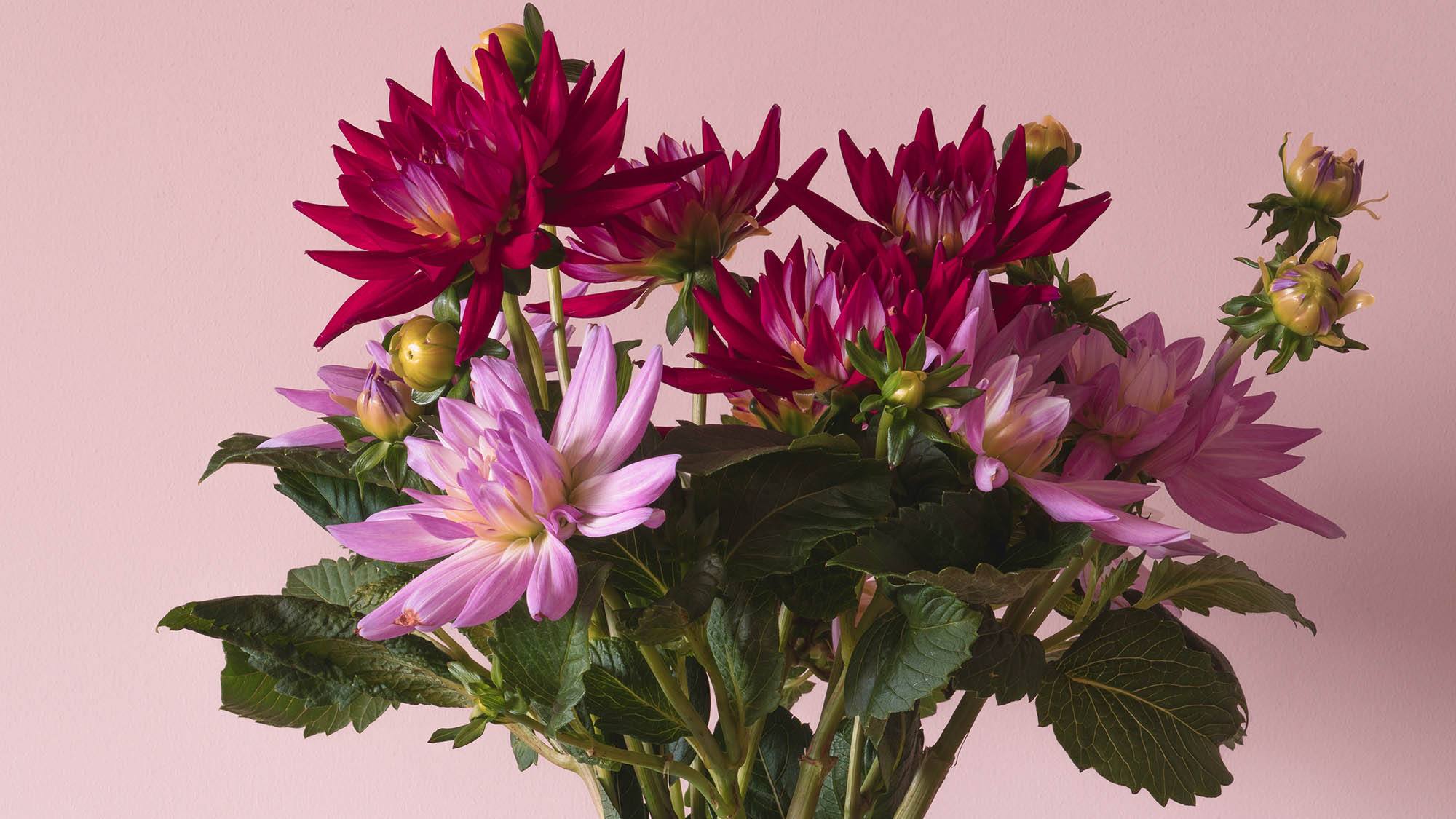 Garfield Realty » Celebrate Spring by Shopping at These Black-Owned ...